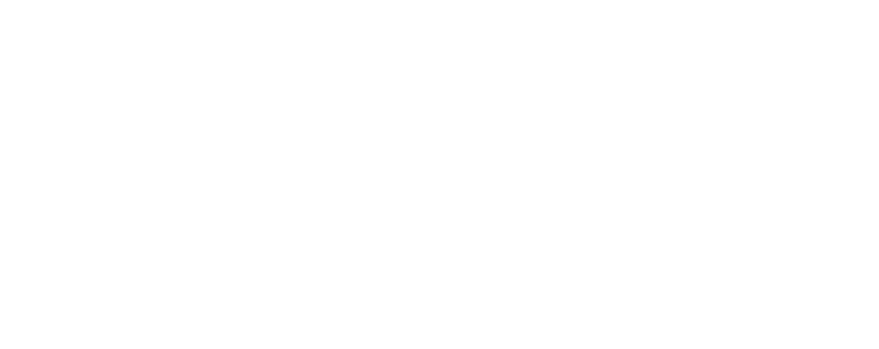 Ventri door technologies - Ventri